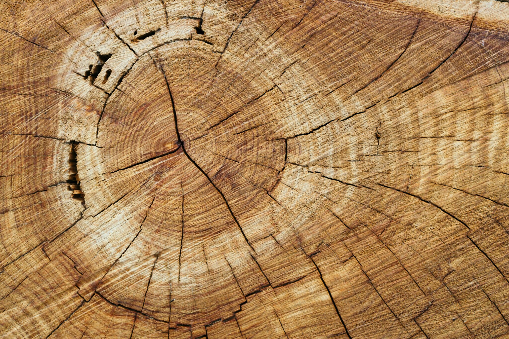 The Top 6 Considerations When Selecting a CNC Machine for Processing ...